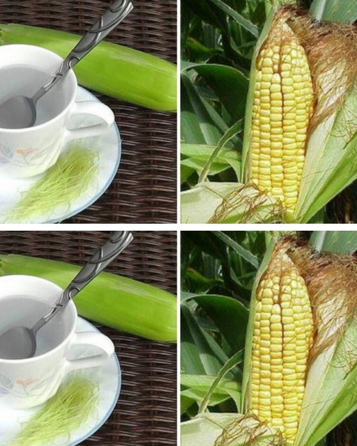 What is the corn beard for? Take advantage of them this way - Light Recipes