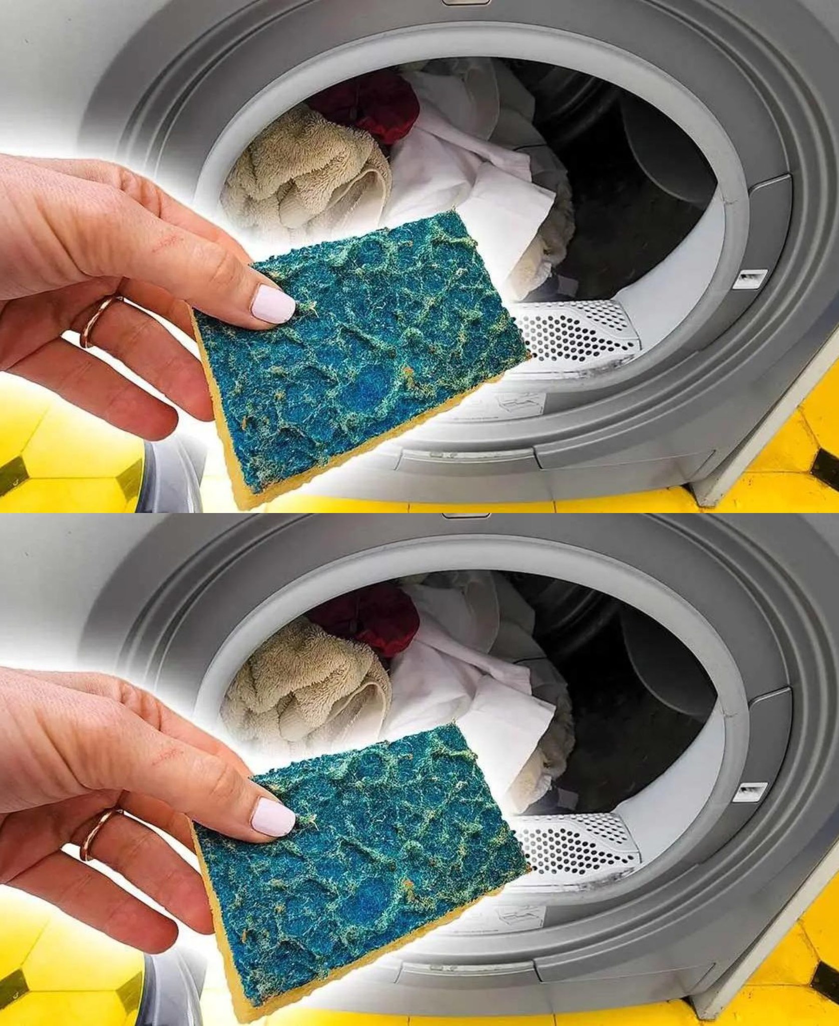 Throwing a dishwashing sponge into the washing machine: The magic trick ...