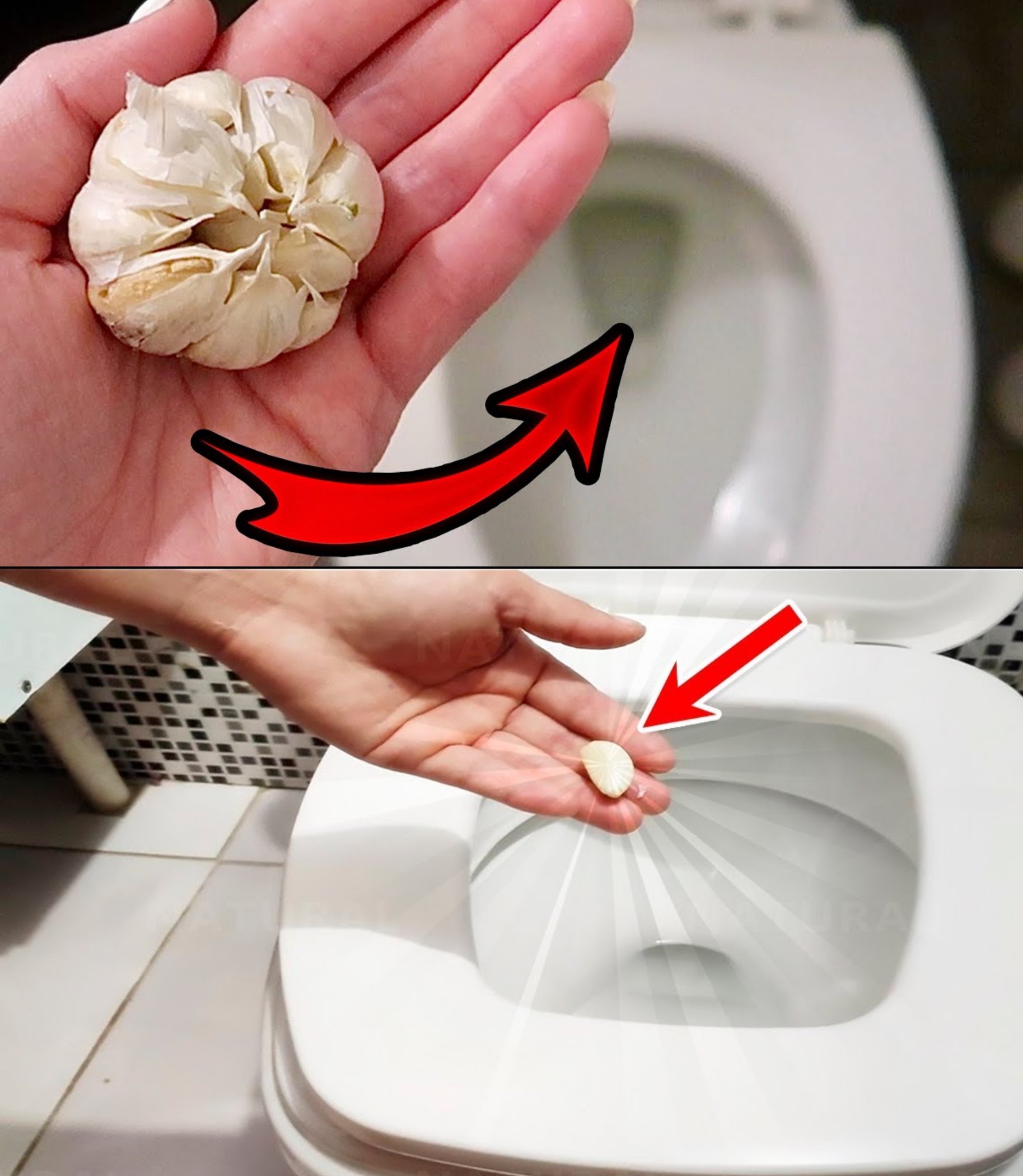 Throw a clove of garlic in your toilet: grandma’s trick that solves ...