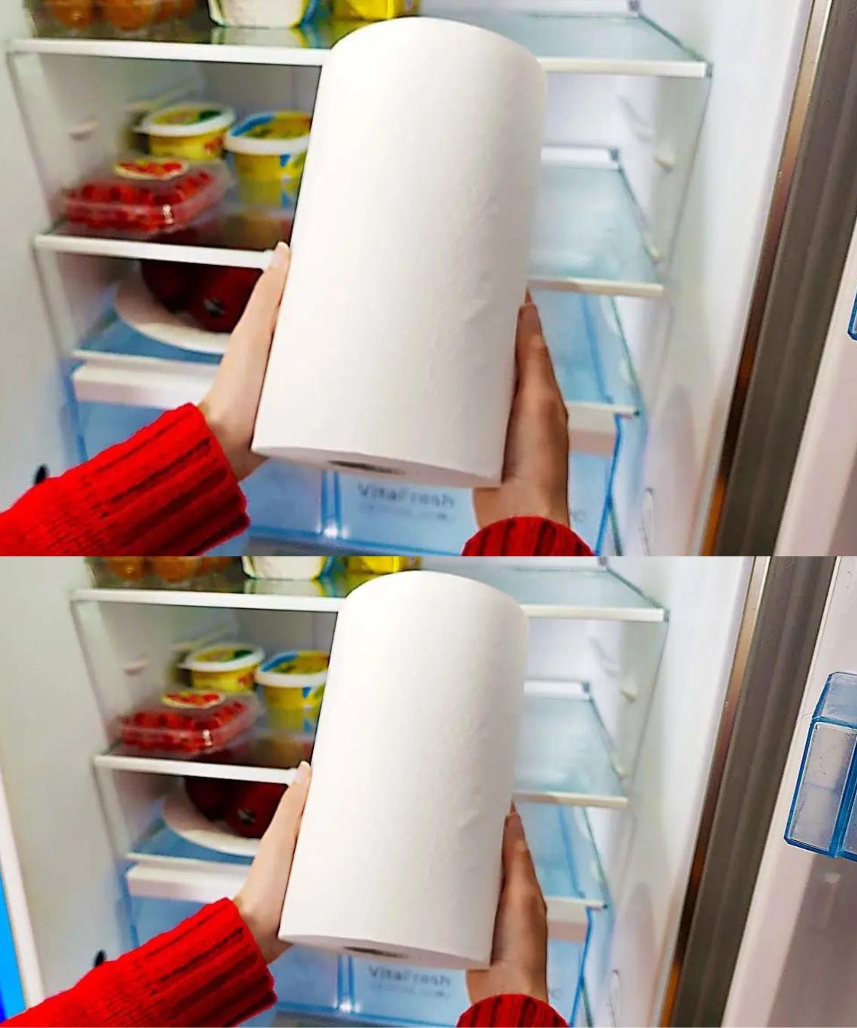 Putting paper towels in the fridge: The trick that solves a big problem ...