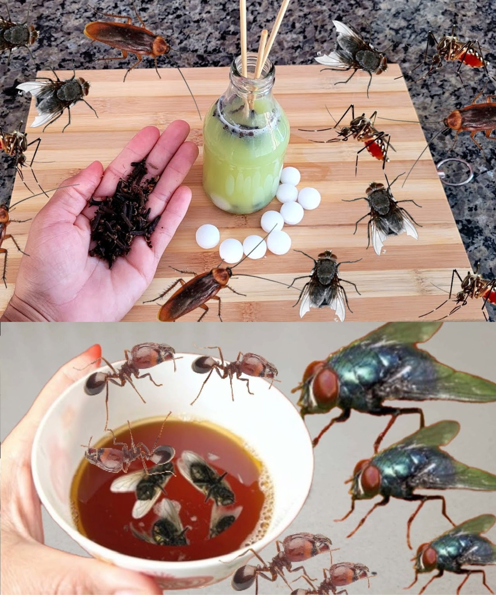 Insects: The Deadly, All-Natural Do-It-Yourself Blend. They won’t stand ...