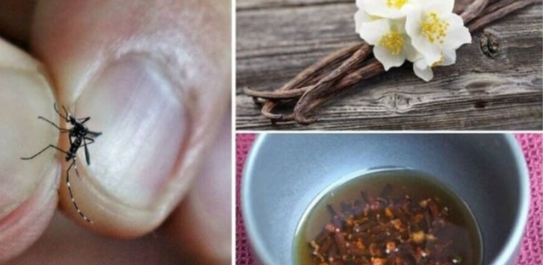 The most powerful insecticide against mosquitoes is in the kitchen: you ...