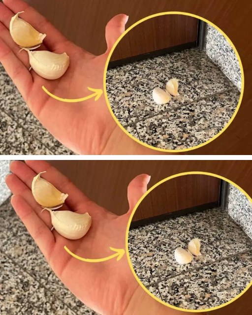 Why leave a clove of garlic in front of the house? The trick that ...